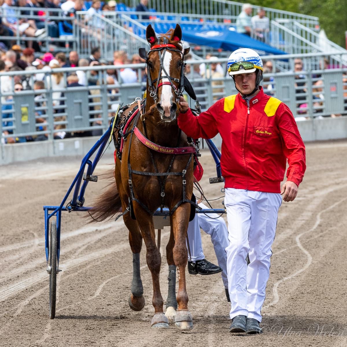 Label emergence - Hunter Valley